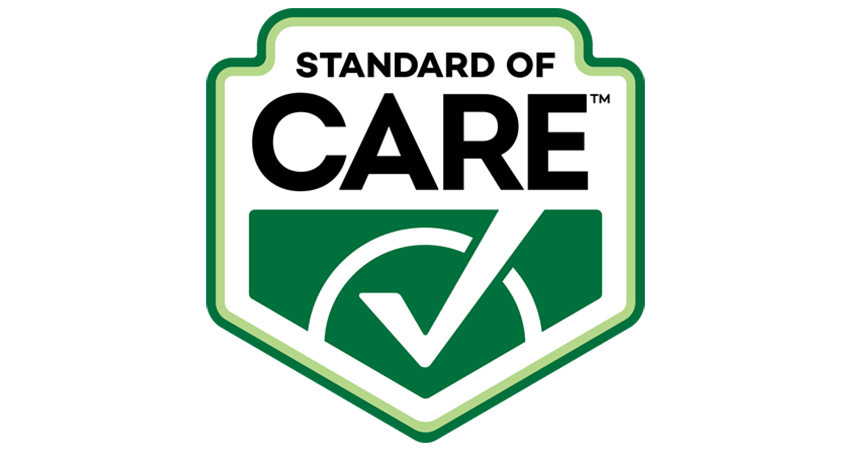 Fast & Convenient Car Rental at 1,500+ Locations | National Car Rental